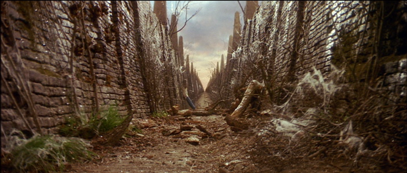 Labyrinth (1986) – Seeing Things Secondhand